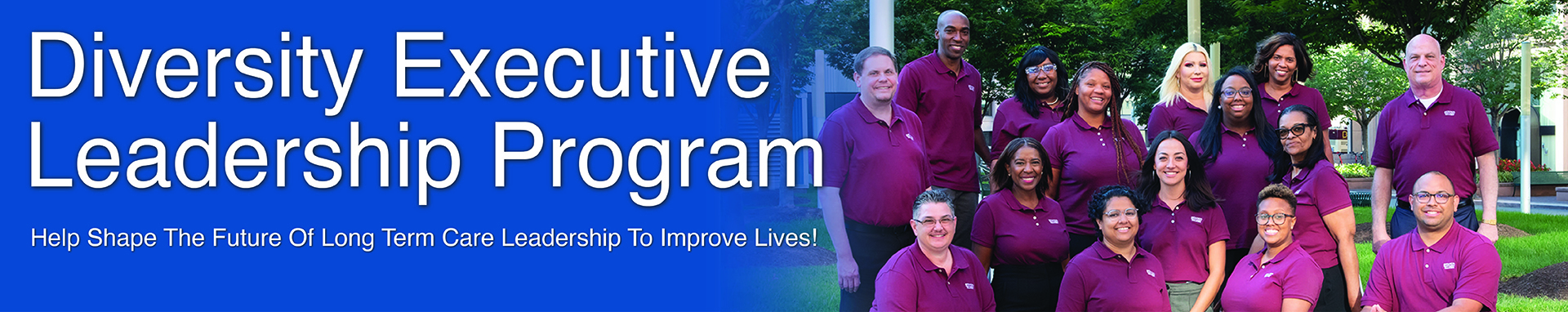 Diversity Executive Leadership Program